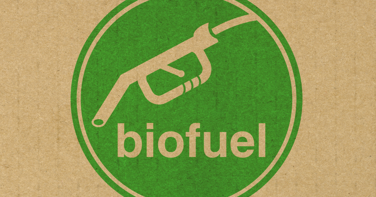 Biofuels Production: What are the Advantages and Disadvantages ...