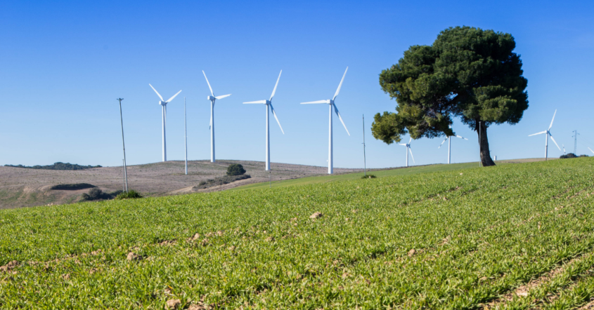 Wind Turbines: pros and cons - Lifestyle blog